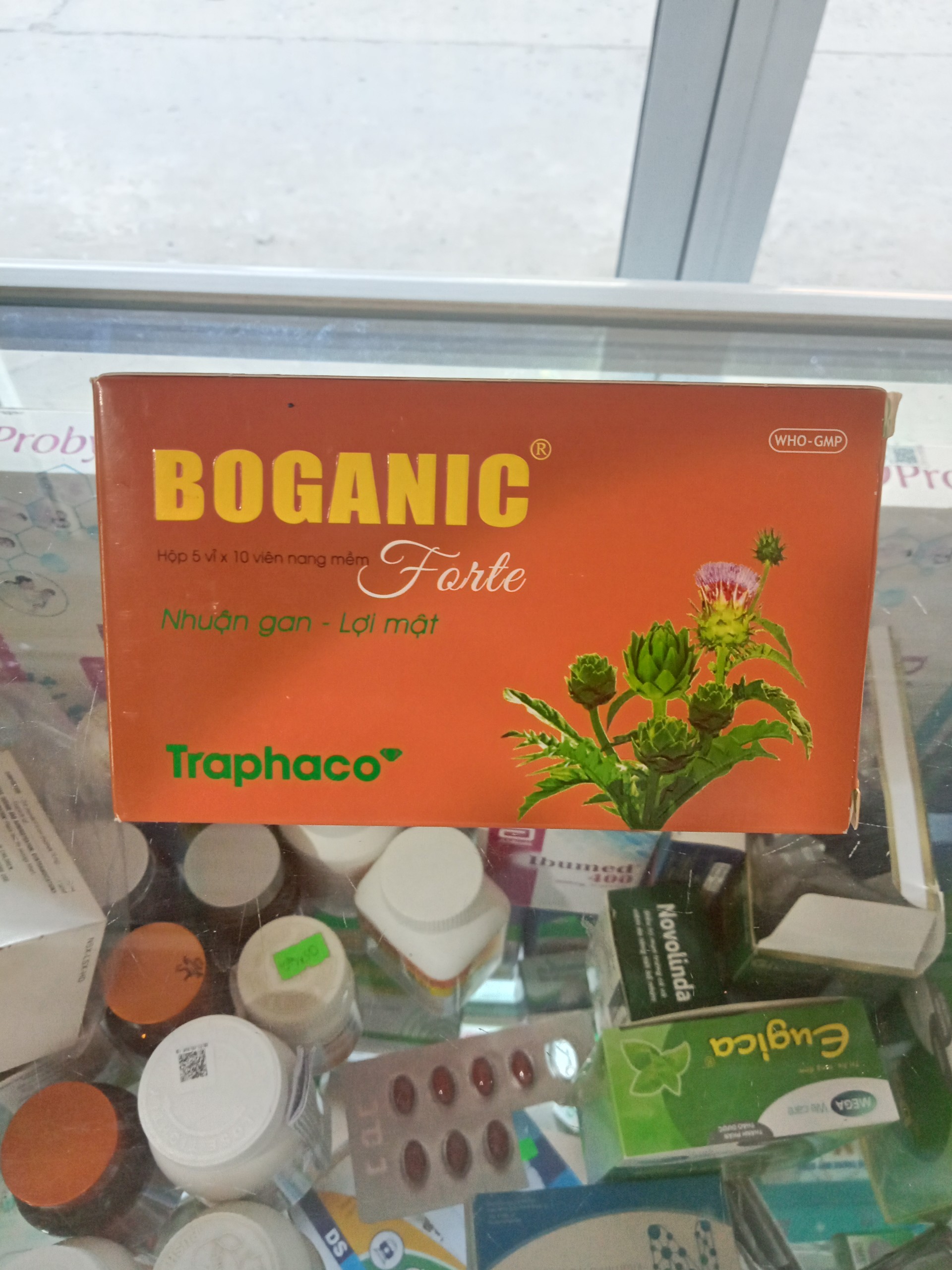BOGANIC FORTE - nhathuocvietanh